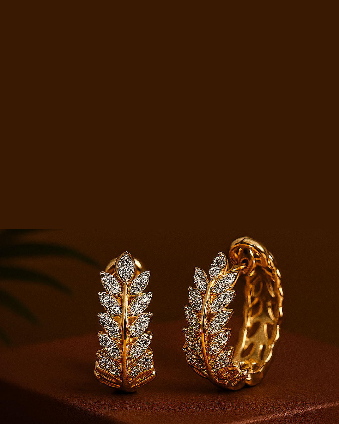 Premium collection in Silver Earrings